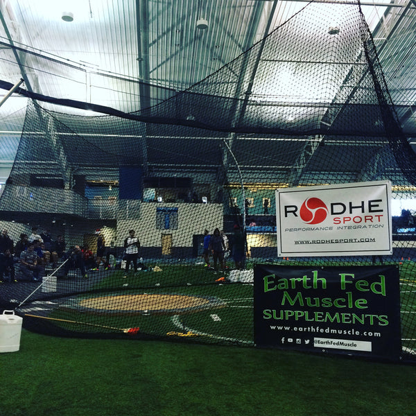 Respect Your Officials – RODHE SPORT