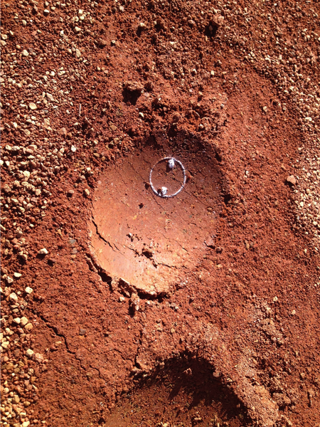 Selecting a Shot Put – RODHE SPORT